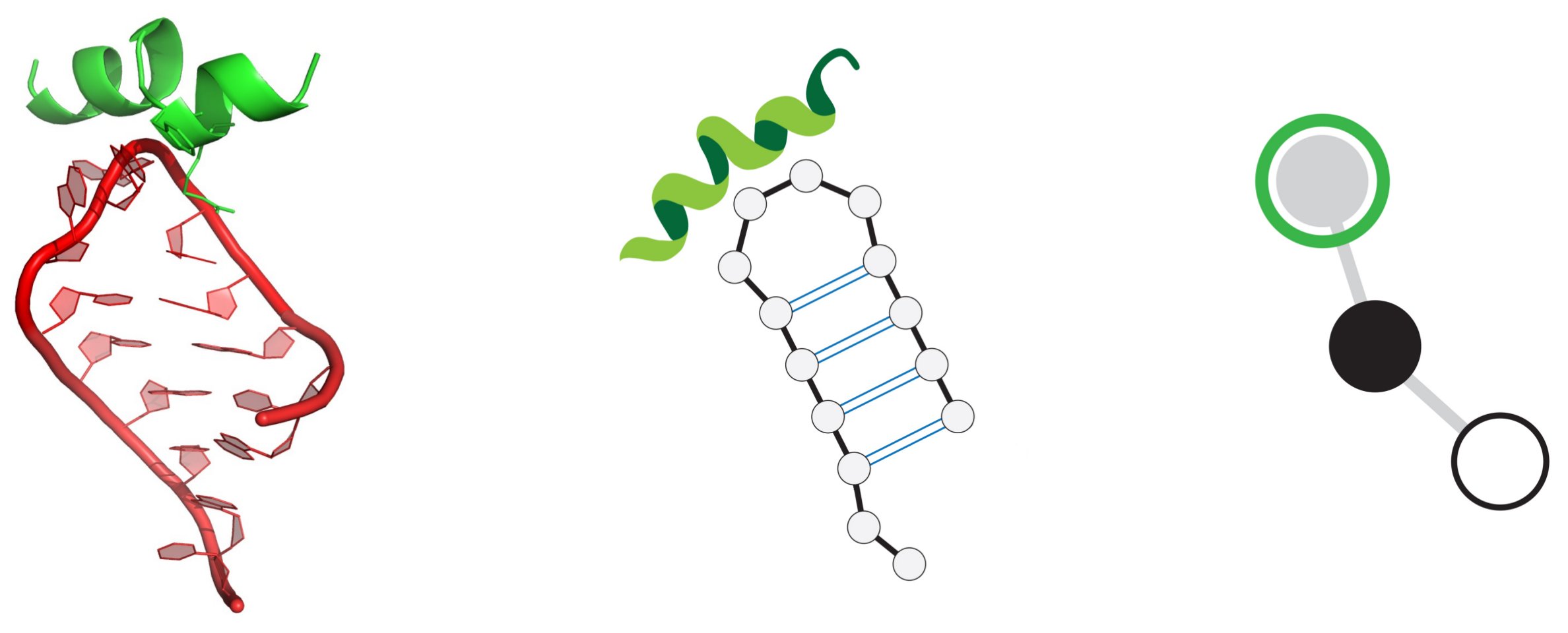 Rna Structure 3d